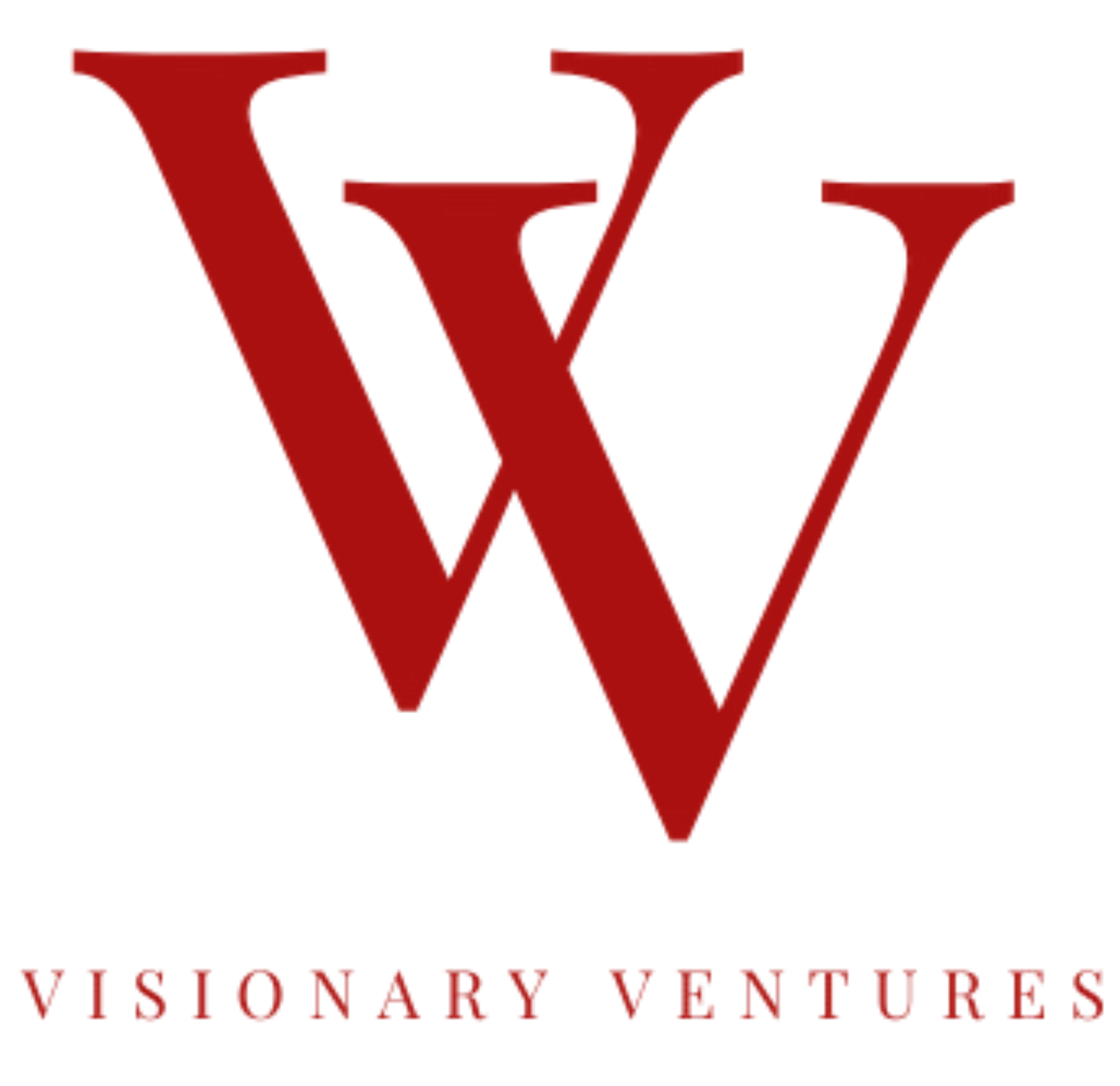 Home - Visionary Ventures